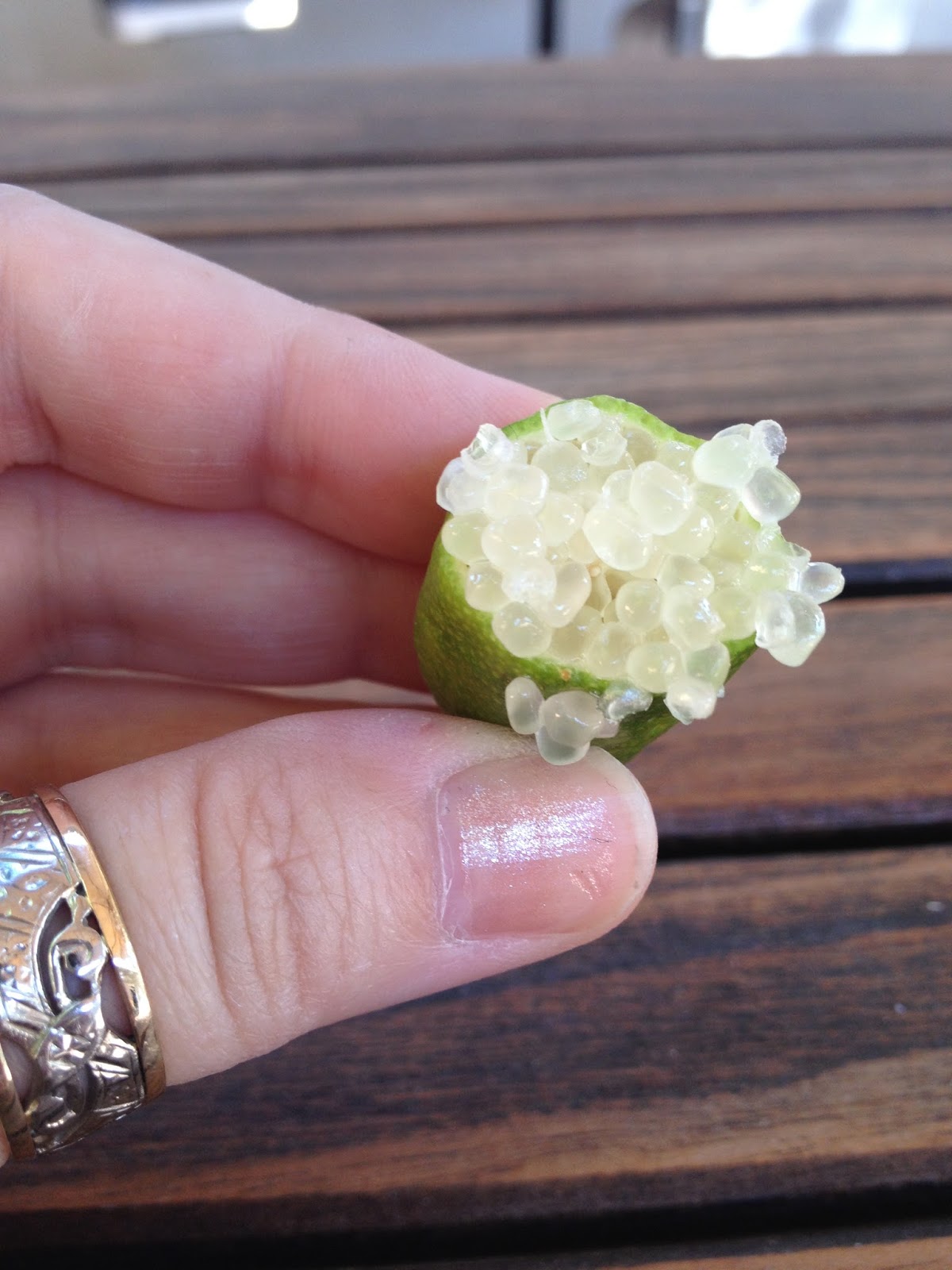 Good Healty Recipes !: Ingredient Spotlight: Finger Limes (and Grilled ...