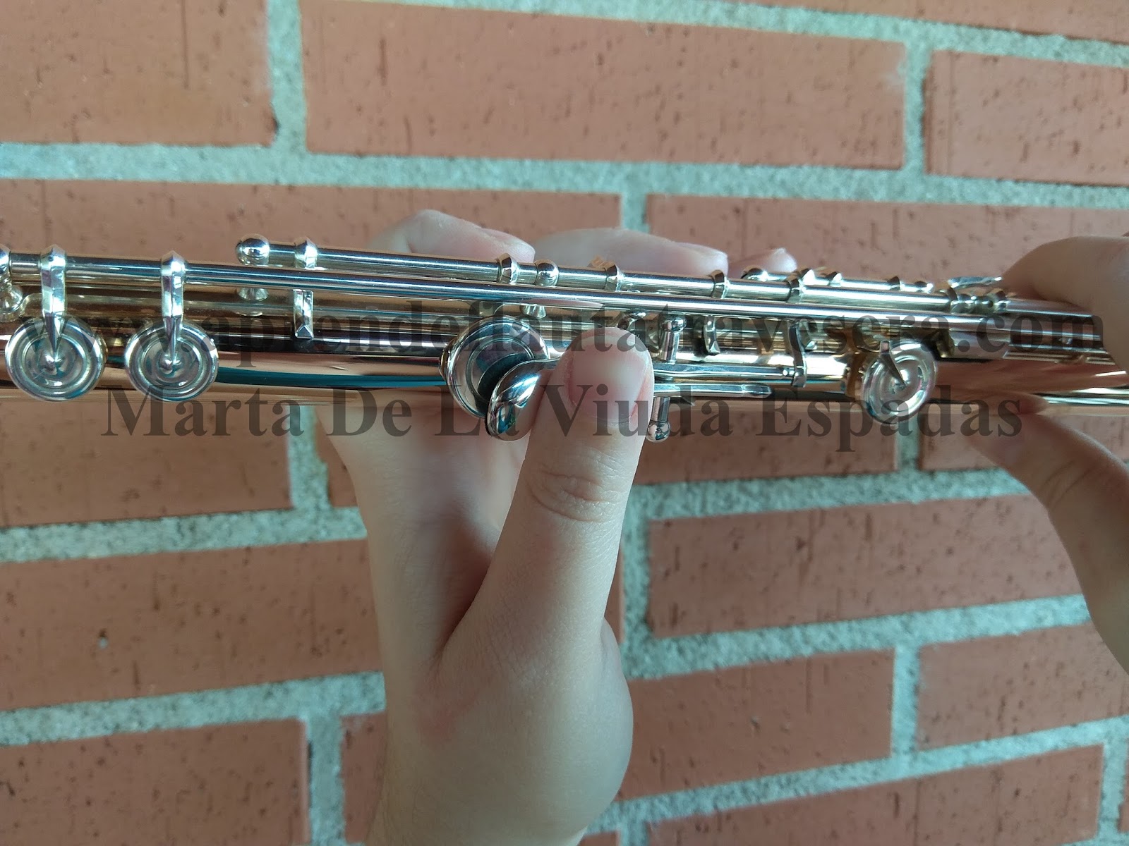 Aprende Flauta Travesera: Posición de las manos en la Flauta Travesera