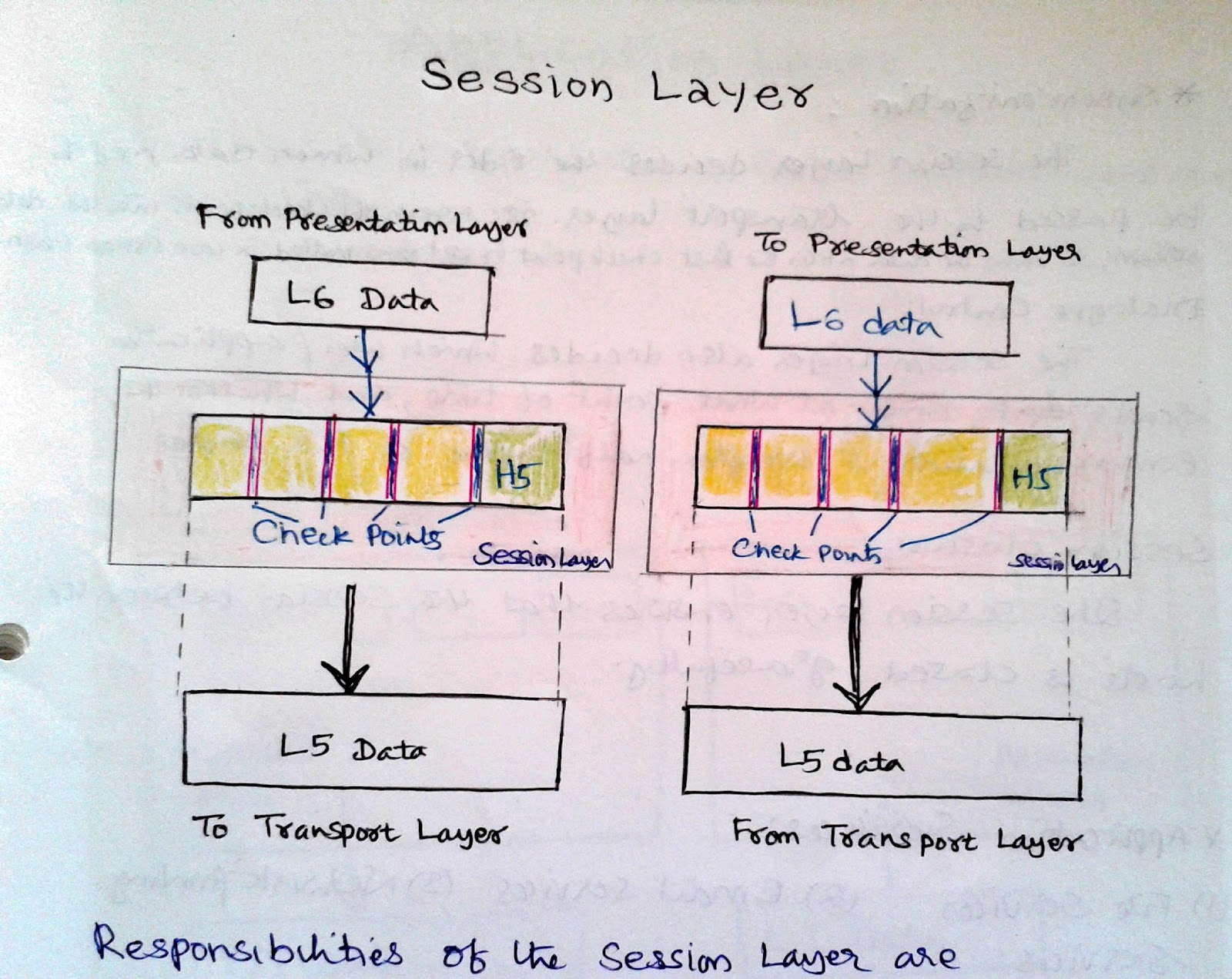 Networking(DCCN): OSI Reference Model