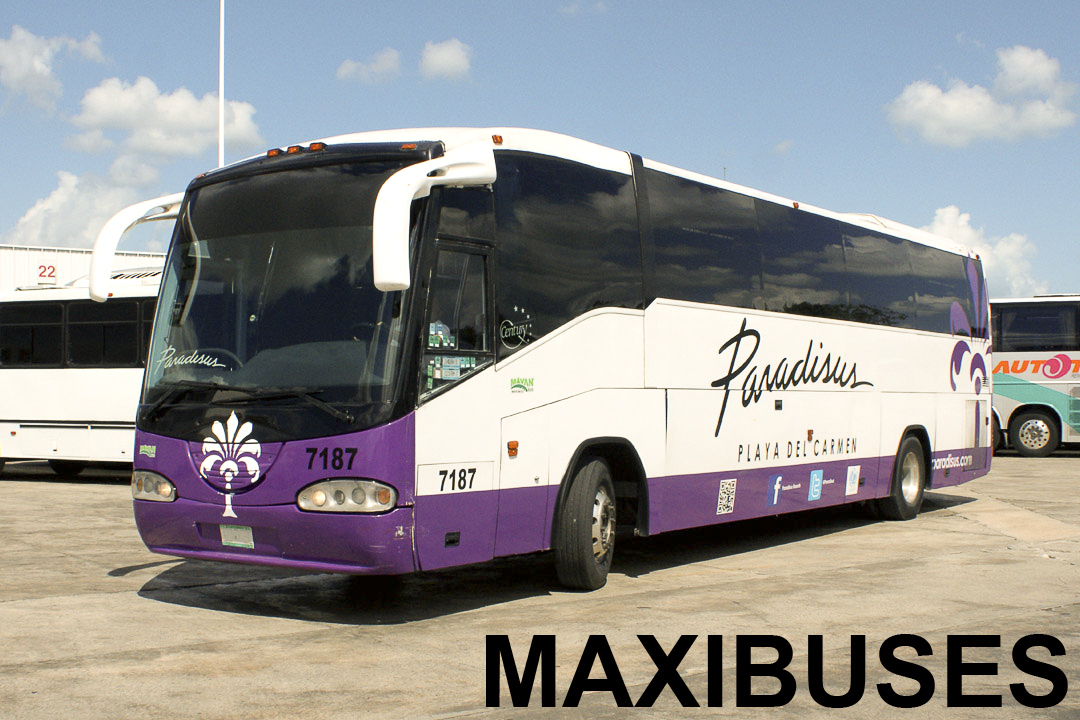 MAXIBUSES: MAYAN BUS - AL SERVICIO DEL HOTEL PARADISIUS (TURISMO)