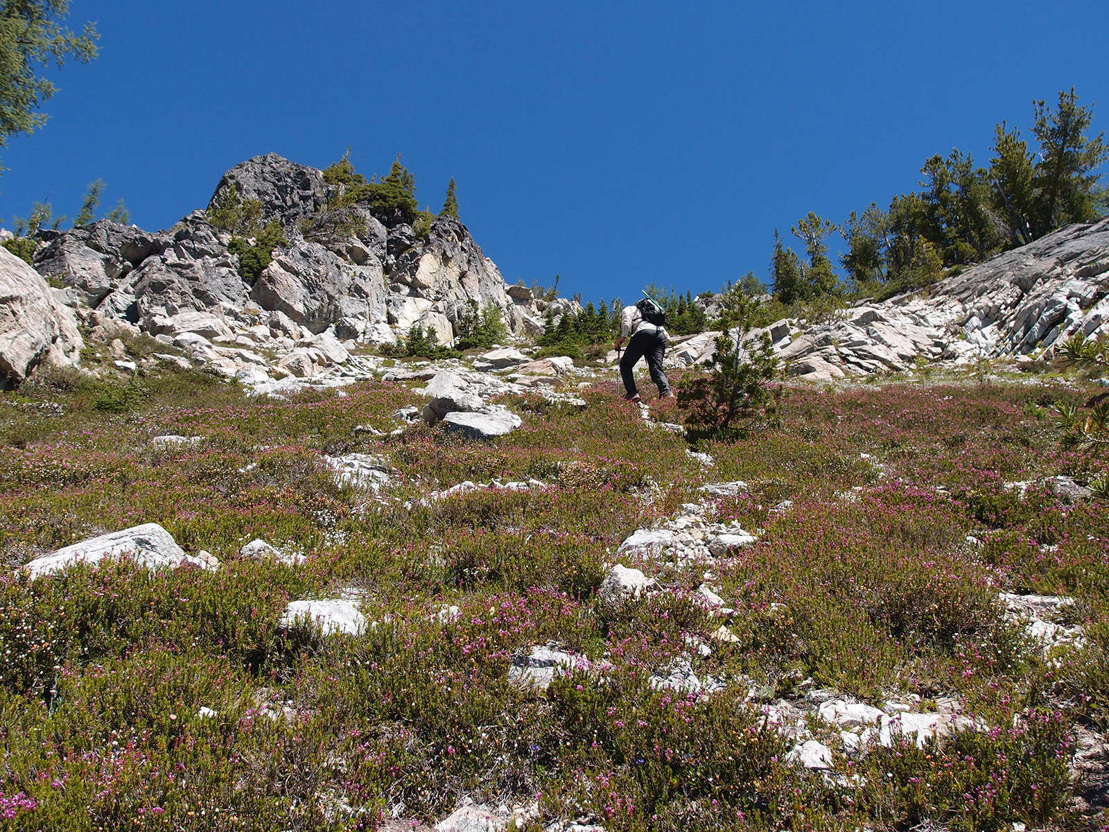 Seeking Ultra: Rainbow Ridge-Twisp Lake loop, North Cascades National Park