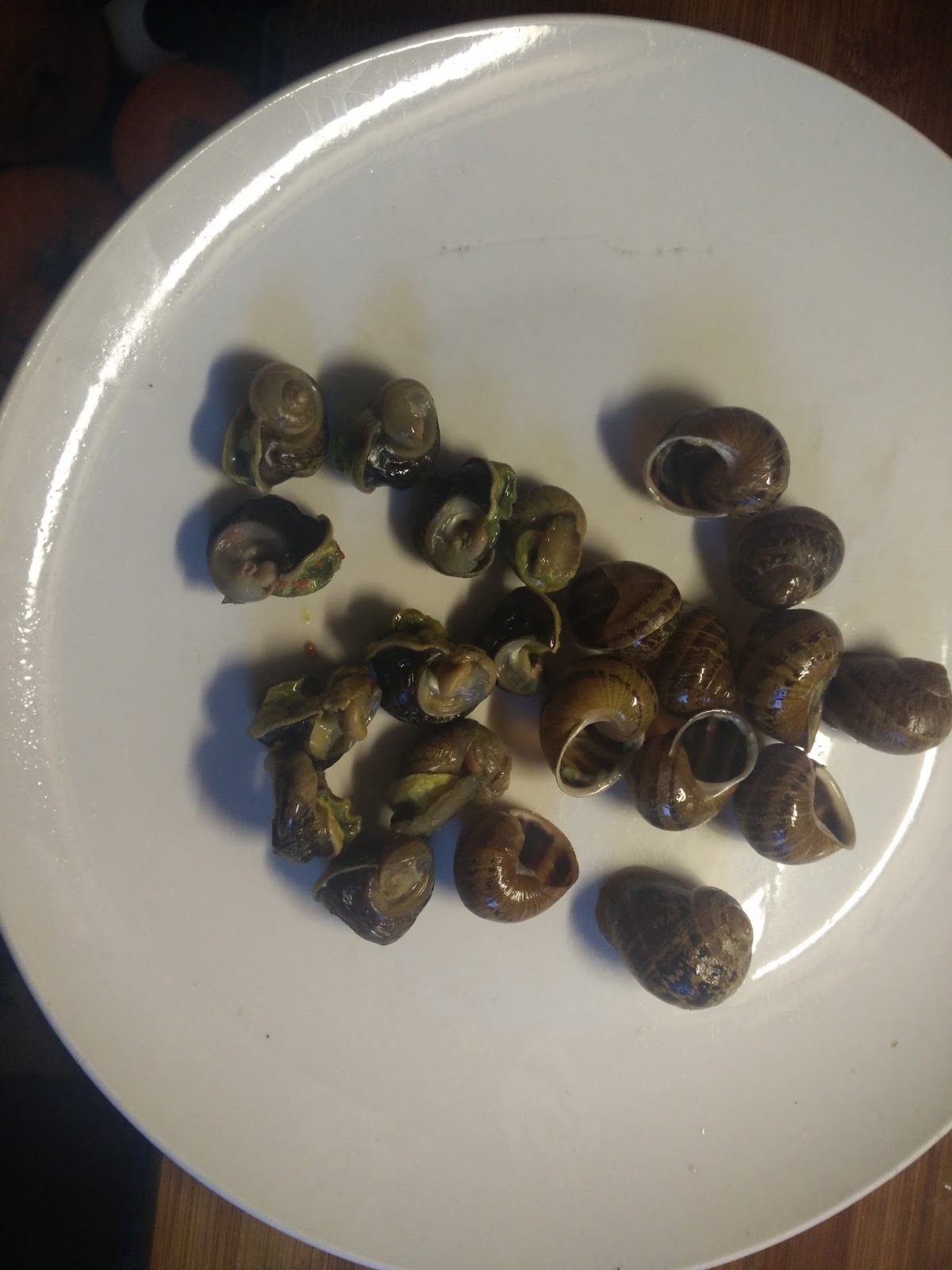 How to Cook Garden Snails