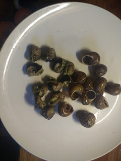 How to Cook Garden Snails