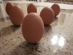 Joe's Weather Blog: Vernal Equinox and Egg Balancing