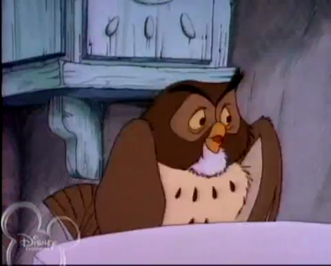 The New Adventures of Winnie The Pooh: Donkey for a Day