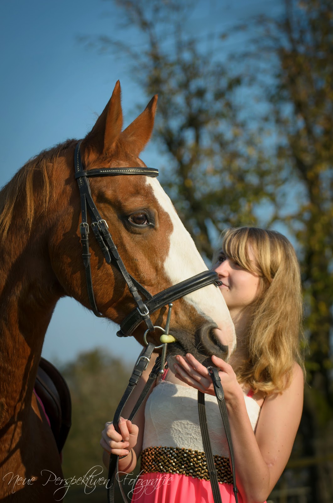 Neue Perspektiven - Mein Weg in eine fotografische Zukunft: Reiterin ...