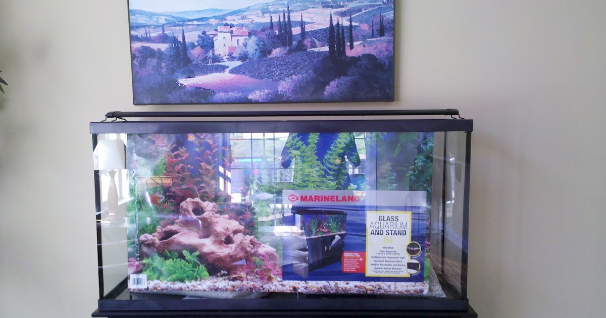 Project Aquarium