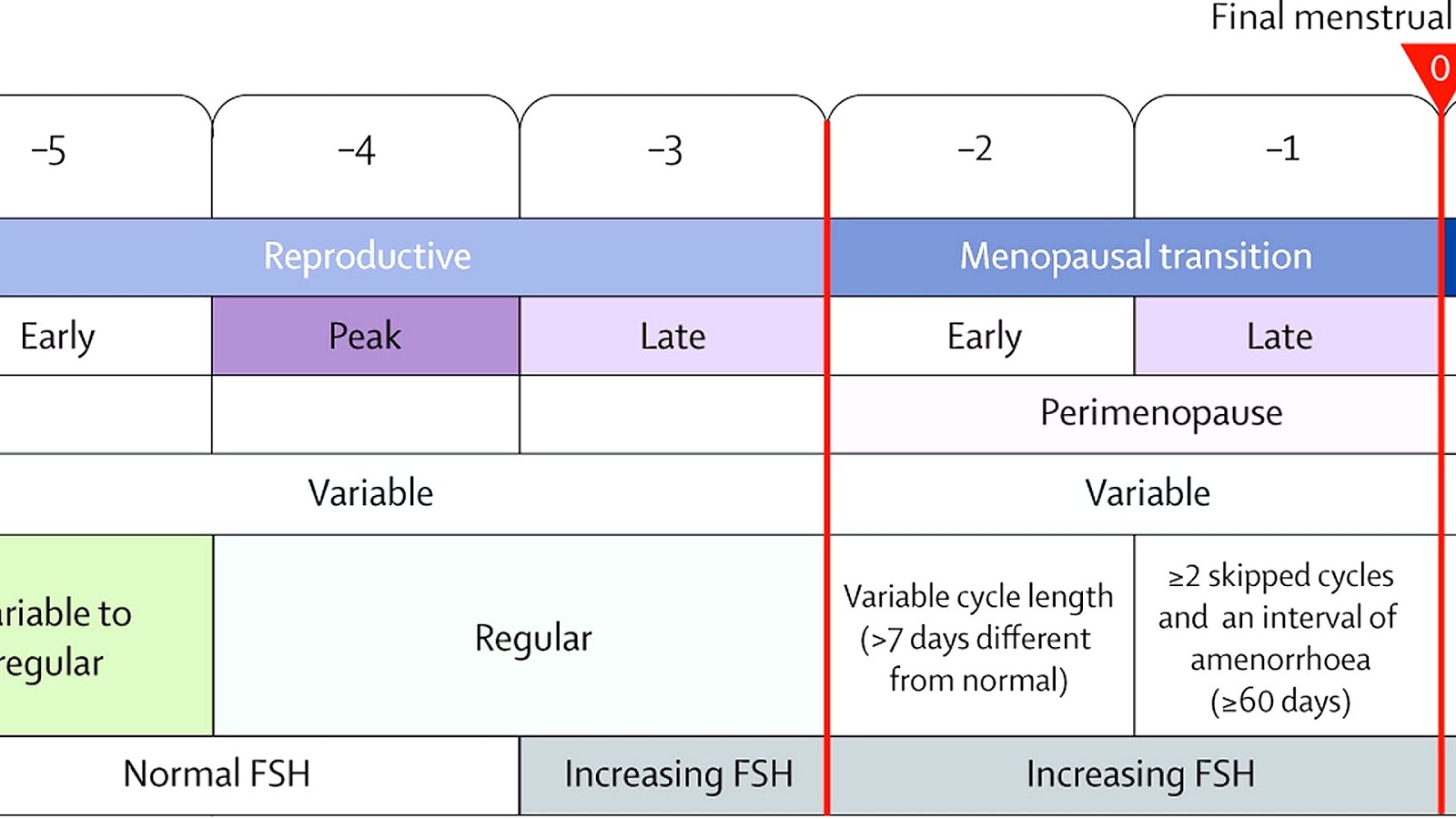 Menopause - Menopause Phases - Menopause Choices