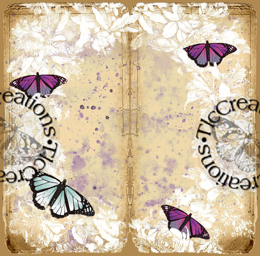 Create with TLC: Never Hide Your Wings....New in Store....