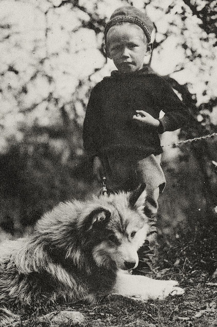 White Wolf : Rare, old photos of indigenous Sami people showcase their ...