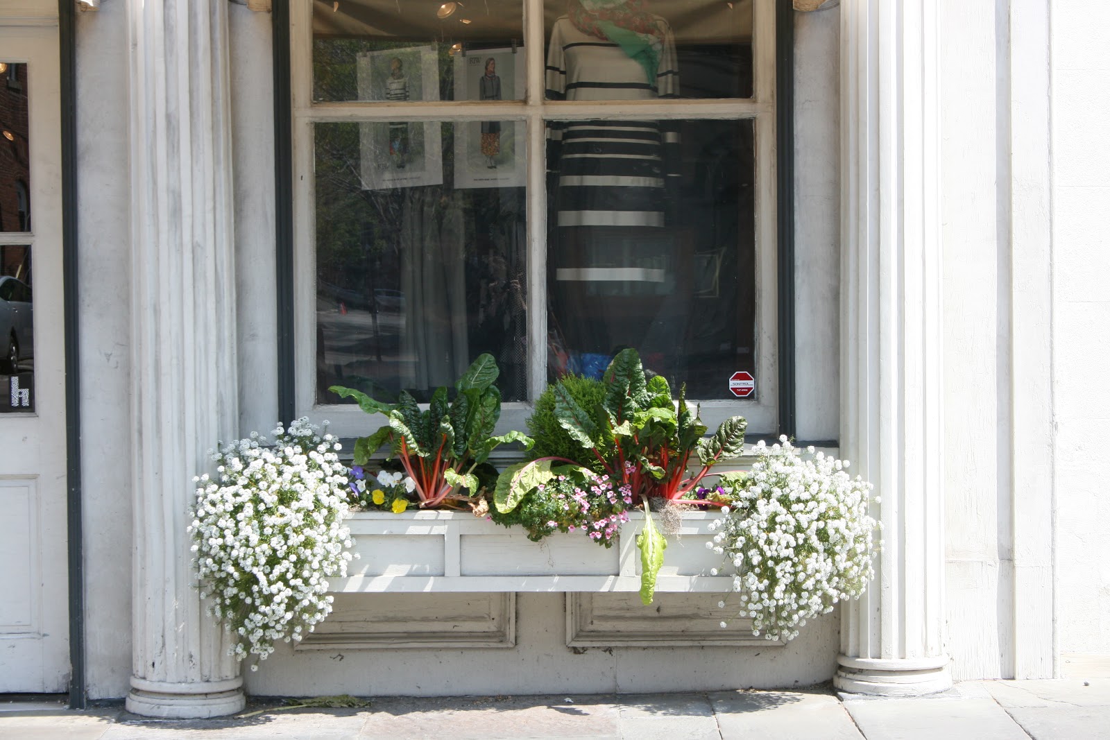 vignette design: And The Winner Is....