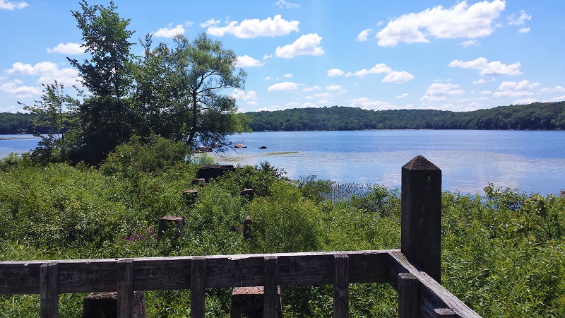 GranWood Explores: Hike #40: White Memorial Foundation - Litchfield, CT