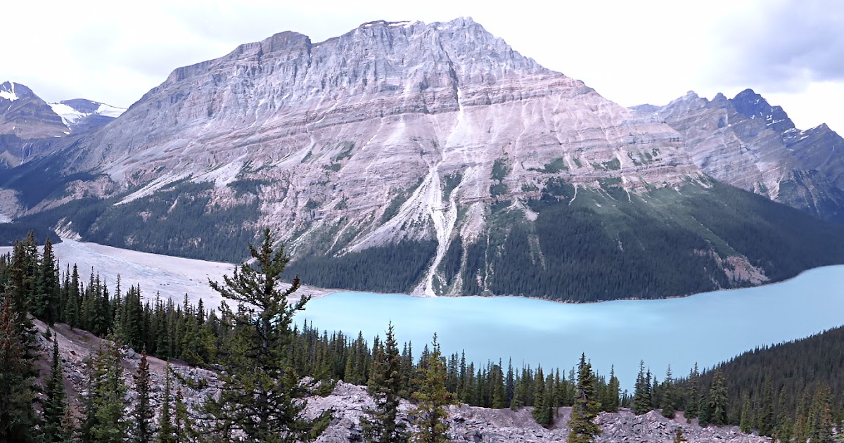 Another Side of this Life: CR2015: Peyto Lake and Bow Summit Lookout