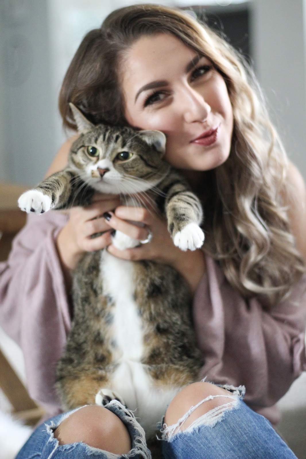 THREE WAYS TO SPOIL YOUR KITTY | A Classy Fashionista