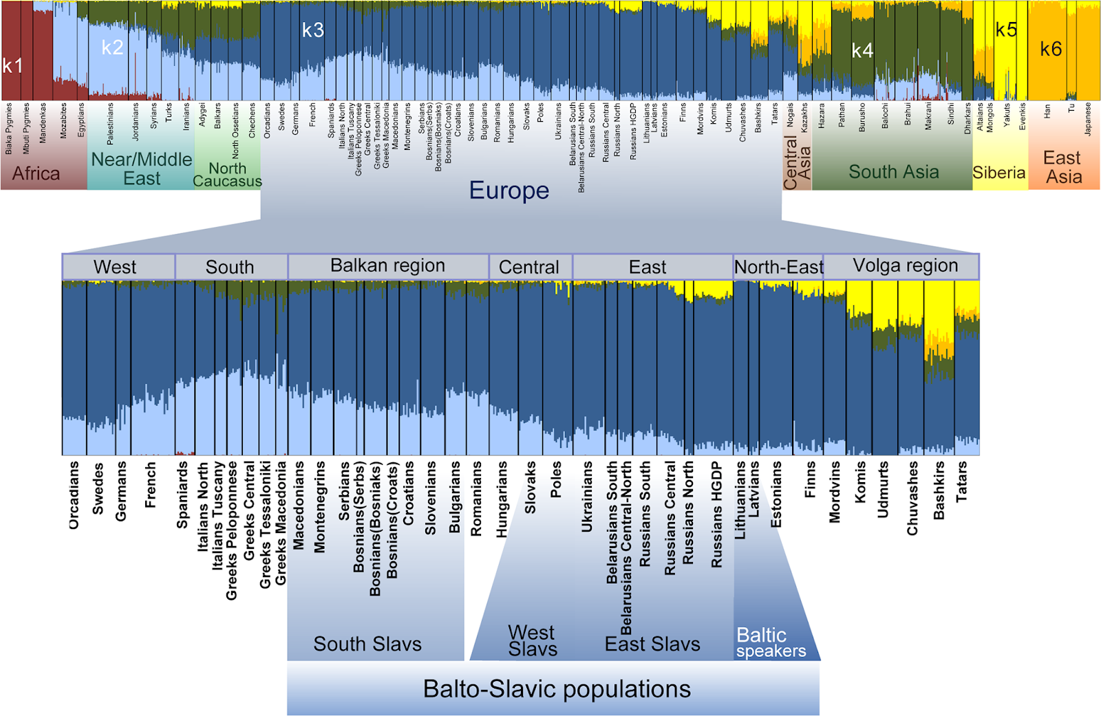 South Slavic DNA Blog: South Slavic origin and I2a-Dinaric South (I-PH908)