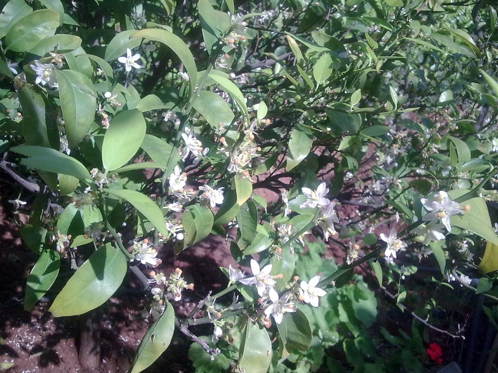 Πάπαλα - Papala: ΠΡΩΤΟΜΑΓΙΑ ΠΟΛΥ ΕΡΓΑΤΙΚΗ!