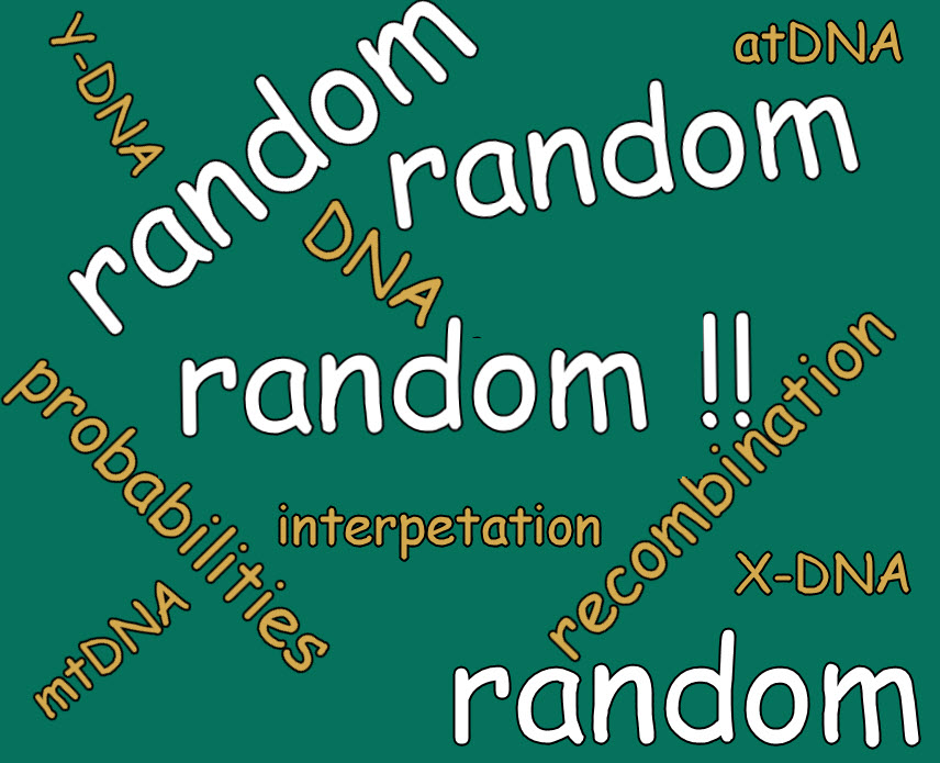 Deb's Delvings in Genealogy: DNA Analysis: Random is Most Important Factor