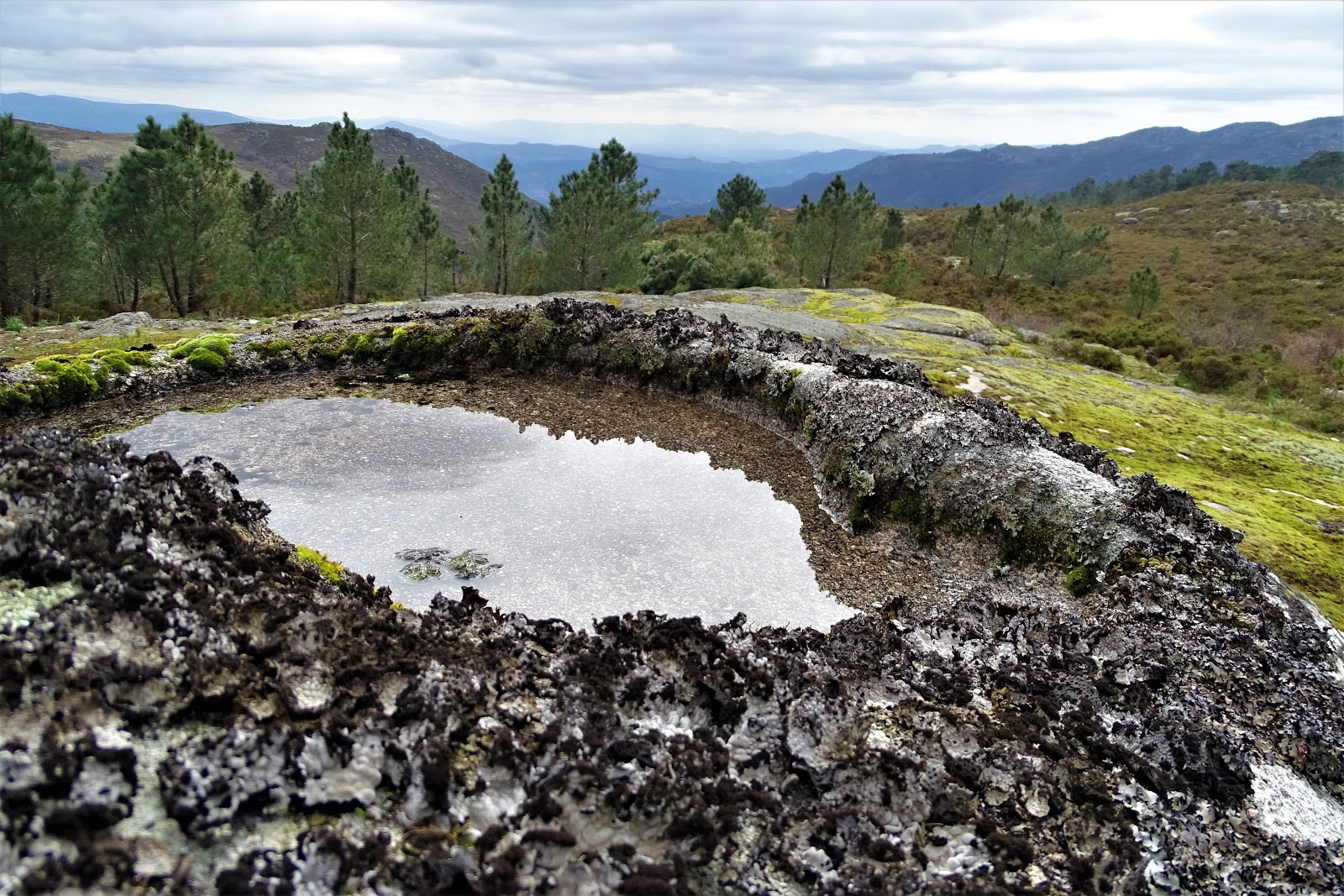 El Bosque y sus Secretos: Serra do Suído