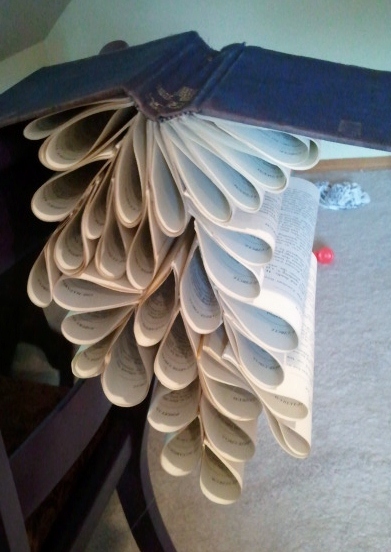 Hipholstery: DIY Anthro Inspired Book