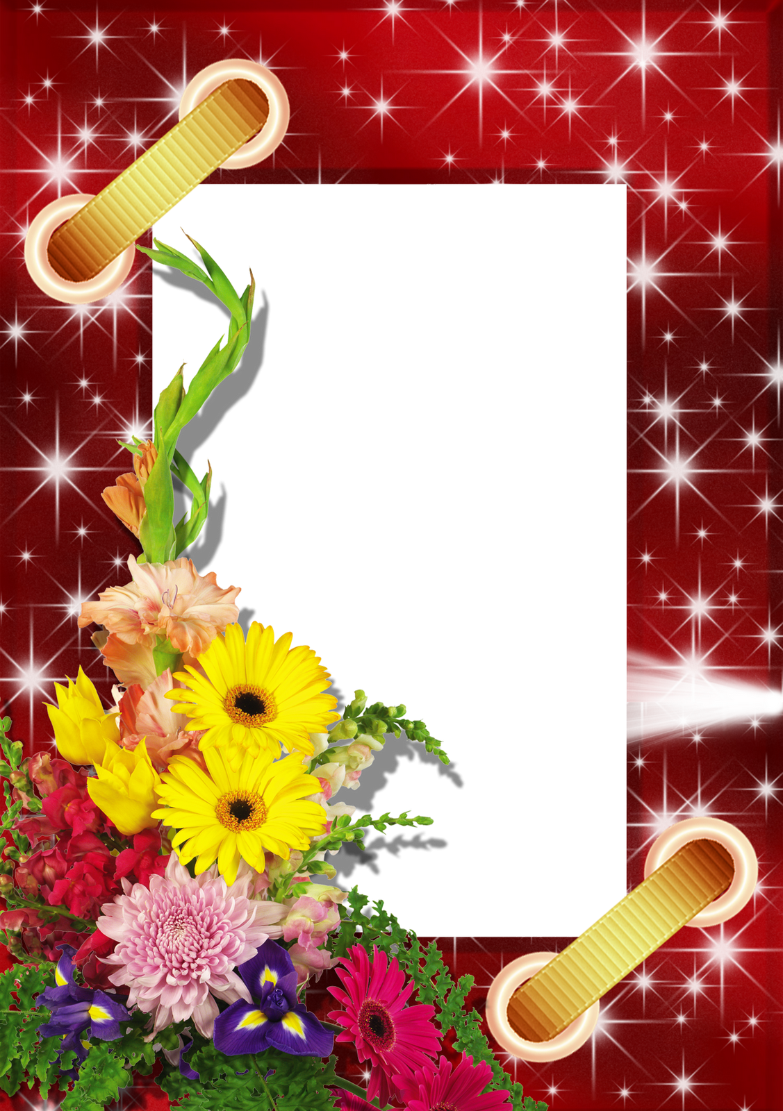 Imagens Png fundo transparente grátis: 20 frames PNG com flores