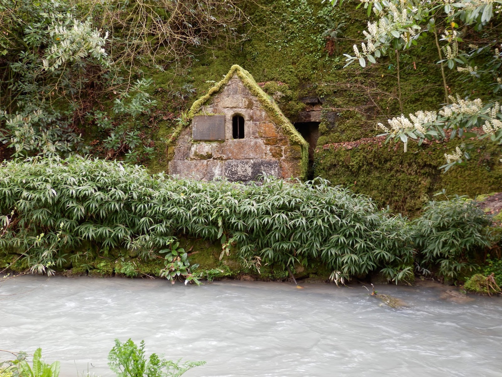 67 Not Out: The Secret Holy Well Of Menacuddle, Cornwall And The Druid ...