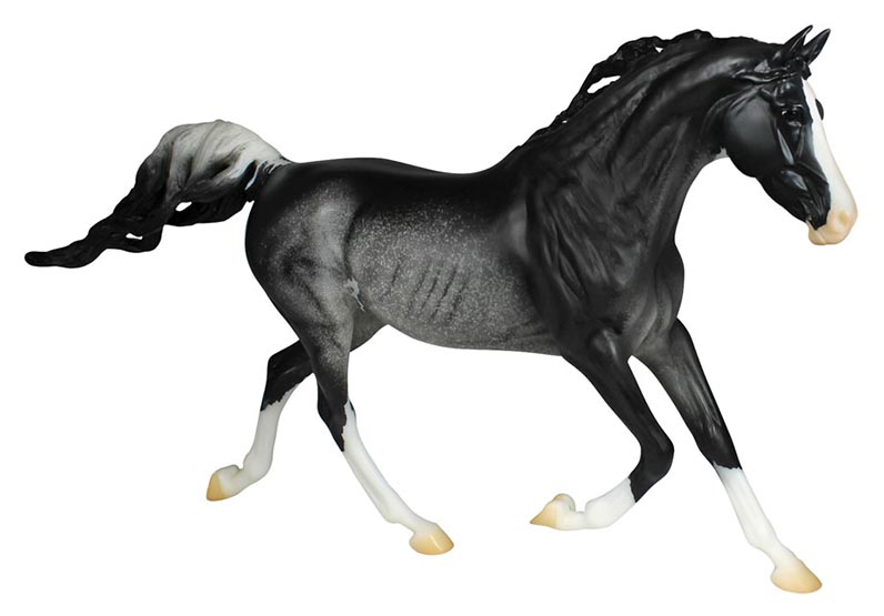 Black Rabicano Horse