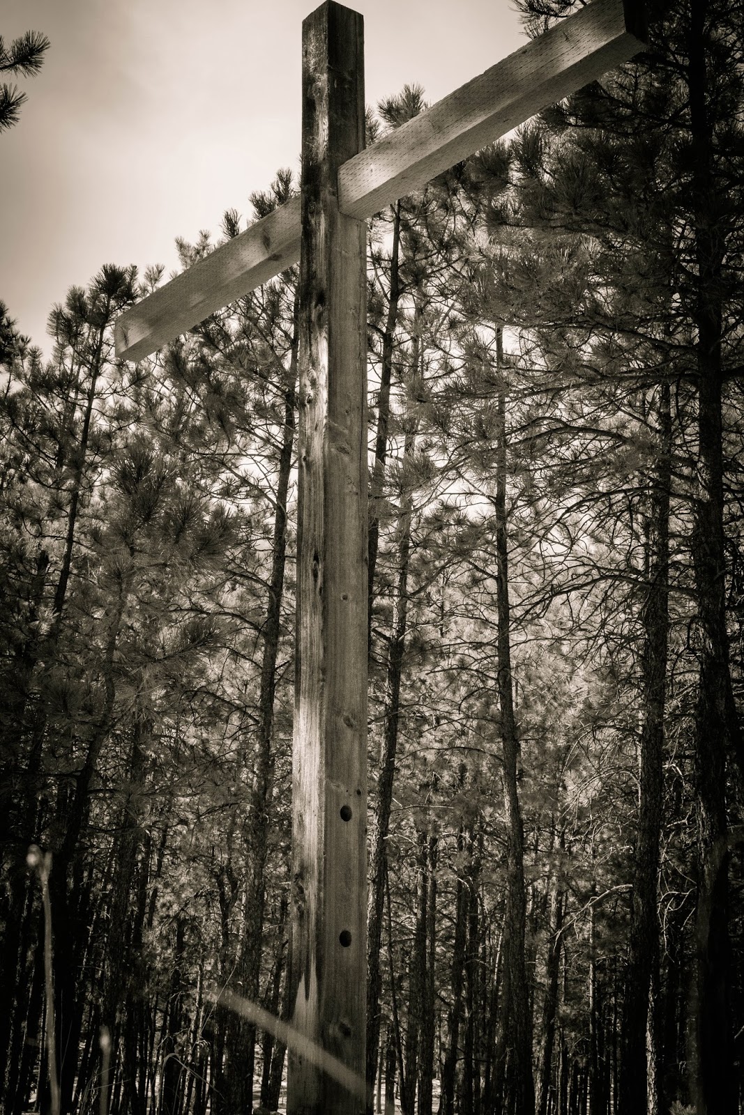 Praying With the Eyes: Looking Up at the Cross