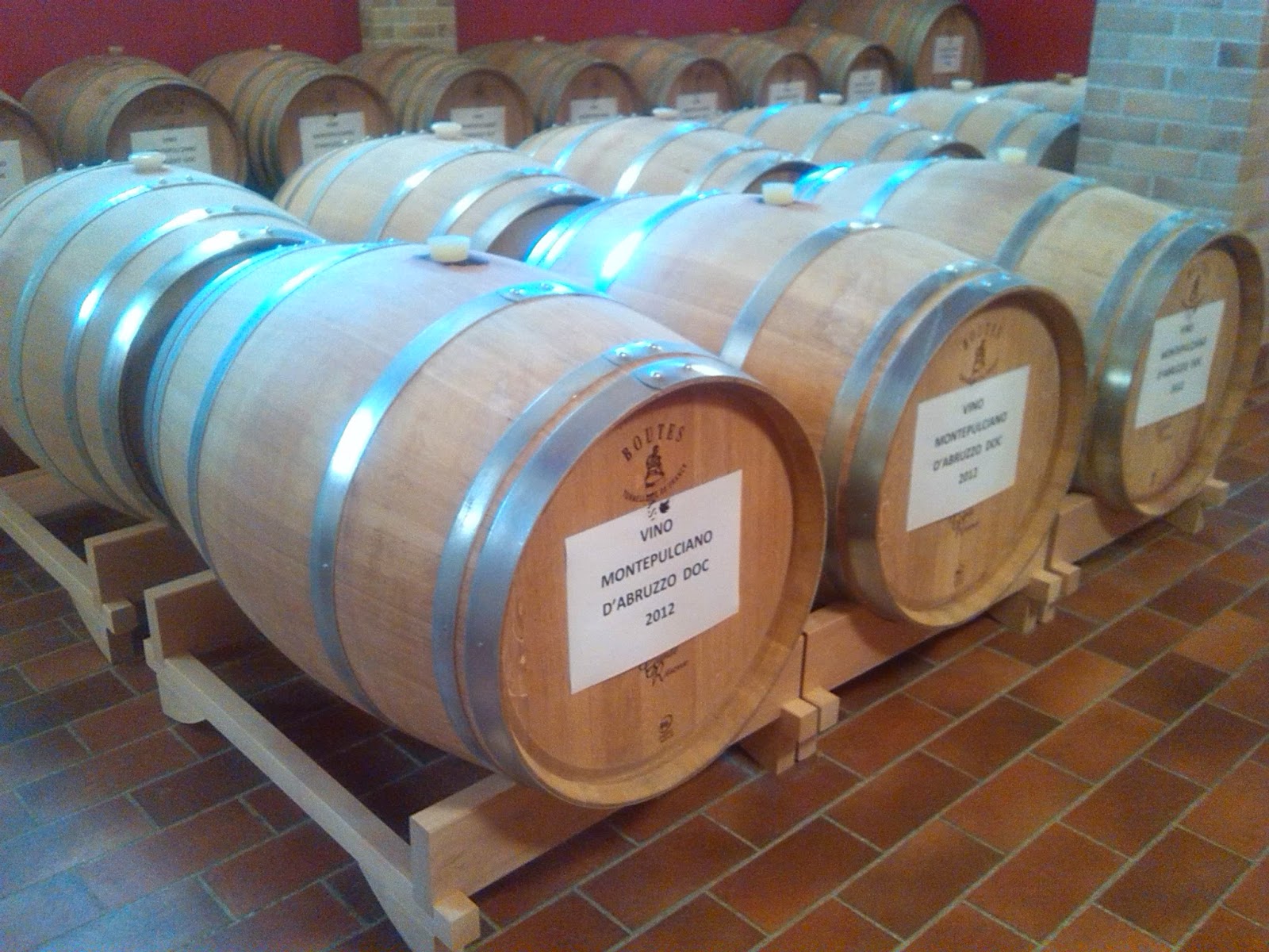 Il mondo del vino targato Vittorio Festa: la sfida dei 5 milioni è ...