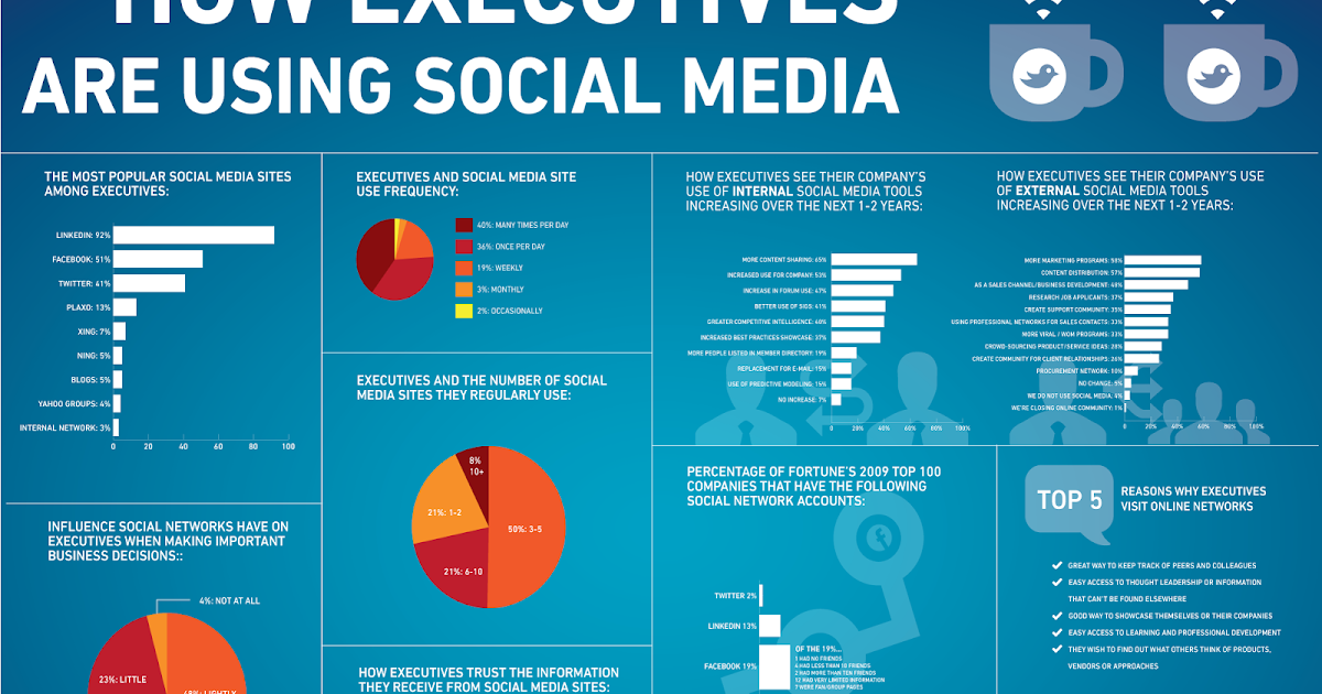 TTe Marketing: Infographic on Executives
