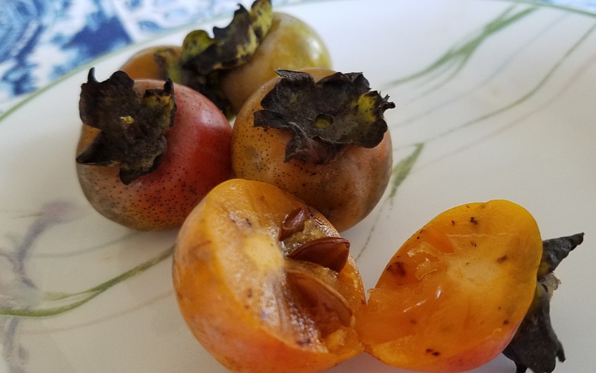 Divinebunbun's Rugged Rural Missouri: Winter Weather Forecasting with ...