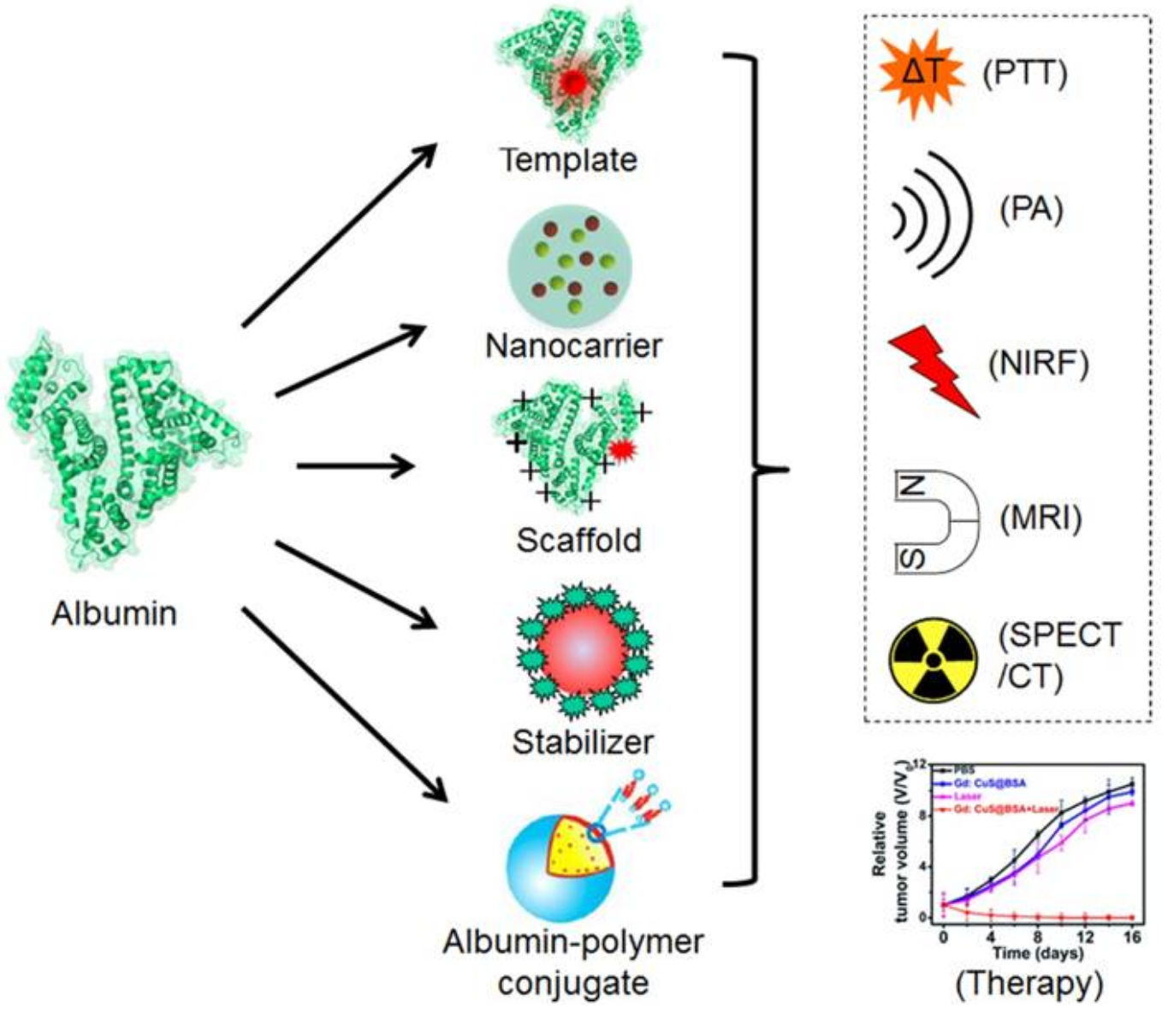生技医薬品医療メンテナンス: 胃腸胰腺神經內分泌瘤GEP-NETs/ 諾華 核醫藥物: Lutathera-177 (177Lu ...
