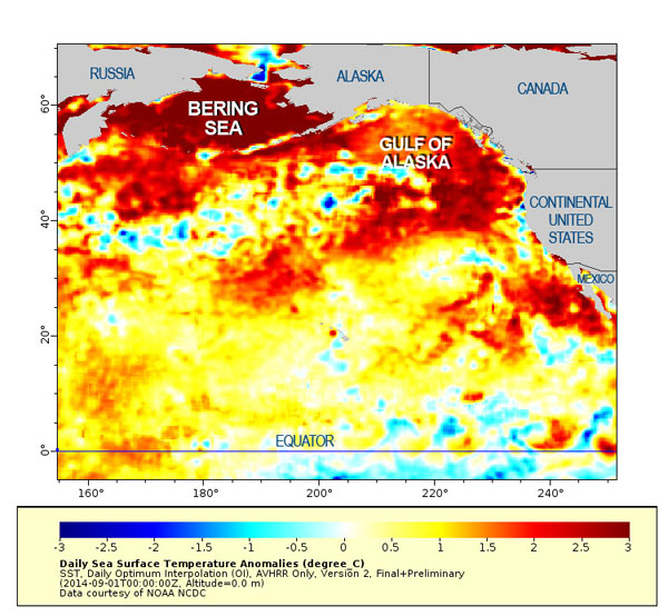 More "the seas got hotter because they got hotter" from Bob Tisdale at ...