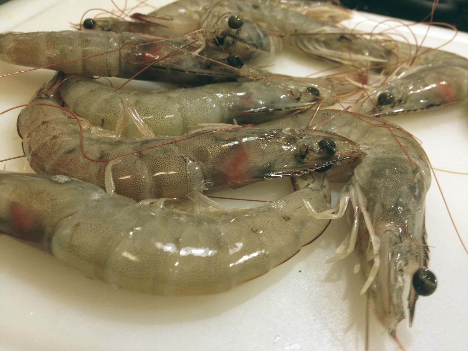 pretty. healthy. happy.: Shrimp Spring Rolls