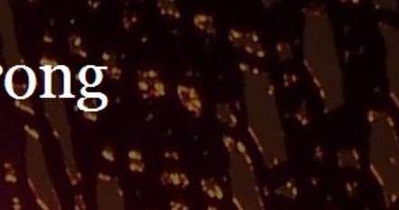 Poets United: Life of a Poet ~ Simon Grady