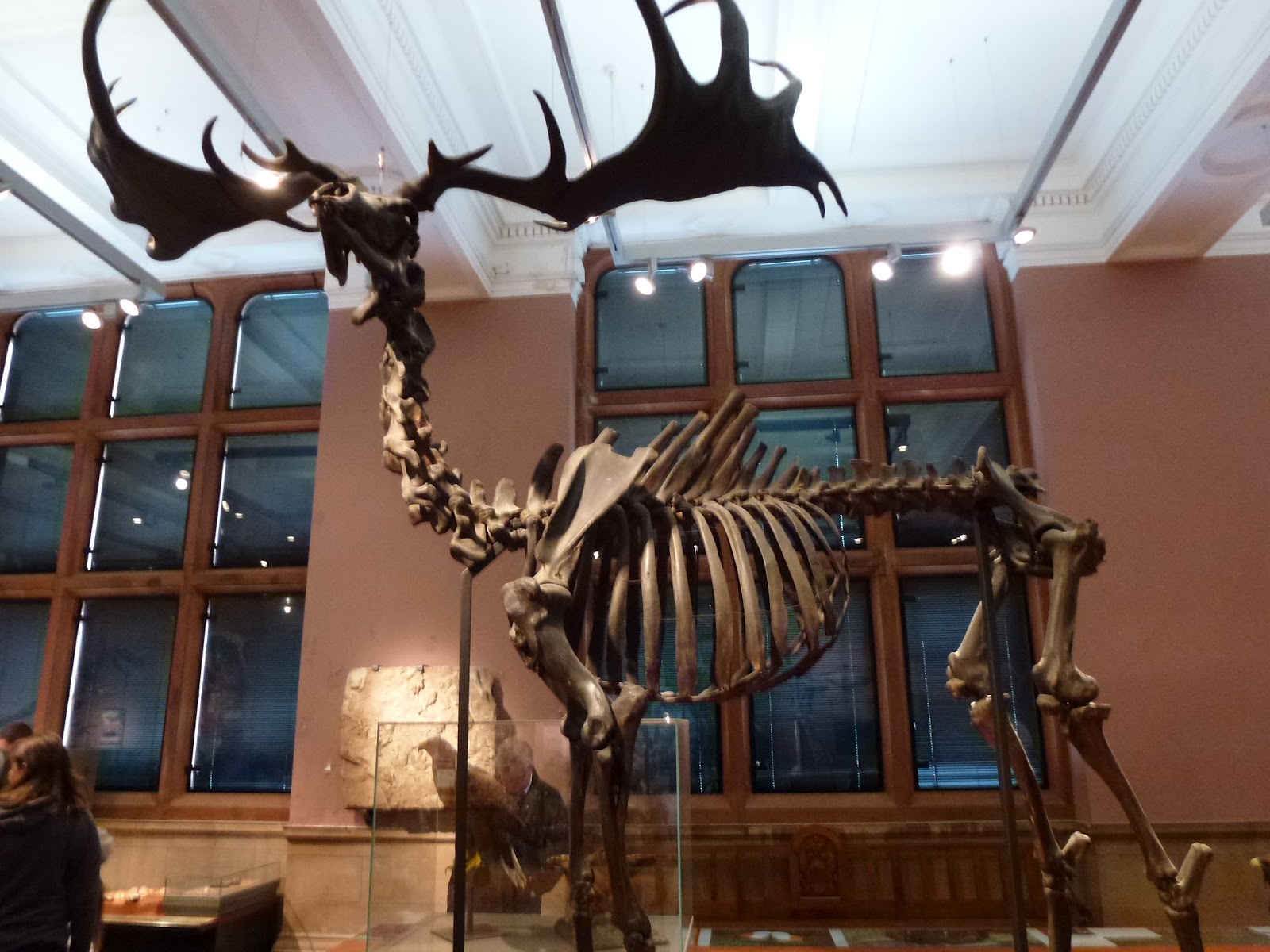 EweTube2012: The Great Adjustment - Recap of Thursday & Friday's Adventures