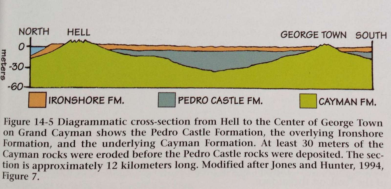 CaymANNature: Cayman Rocks – Caymanite and Phytokarst