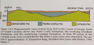 CaymANNature: Cayman Rocks – Caymanite and Phytokarst