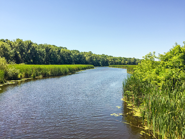 Wisconsin Explorer: The Bugline Trail