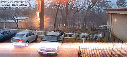 Wenn der Blitz in einen Baum einschlägt | Das GIF des Tages - Atomlabor ...