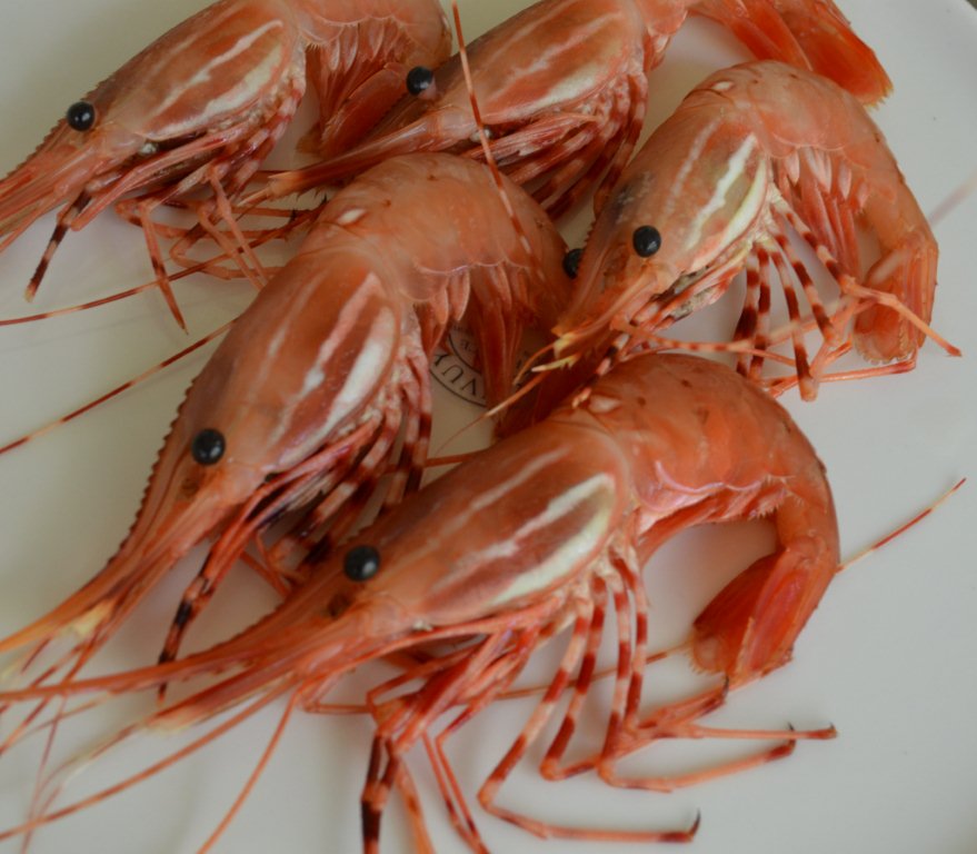 more than burnt toast: Follow the British Columbia Food Trail Beginning ...