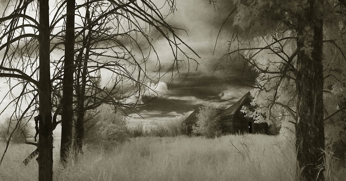 Jim Cox Photos: Old Homestead Painting