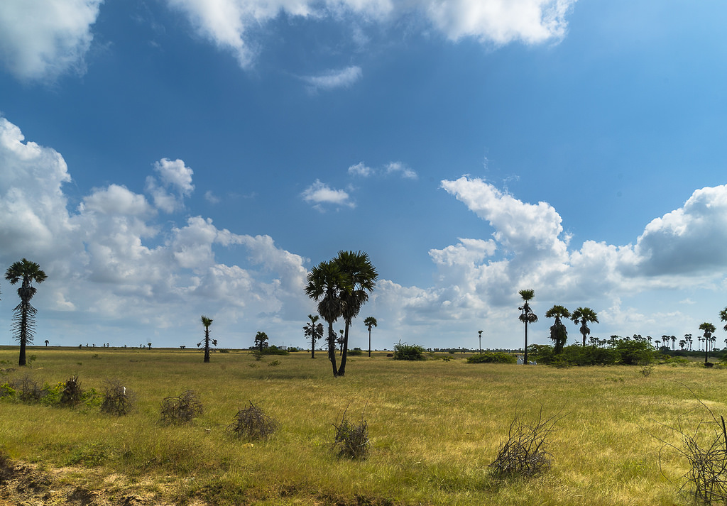 Tamilnadu Tourism: Thirunelveli – General Information