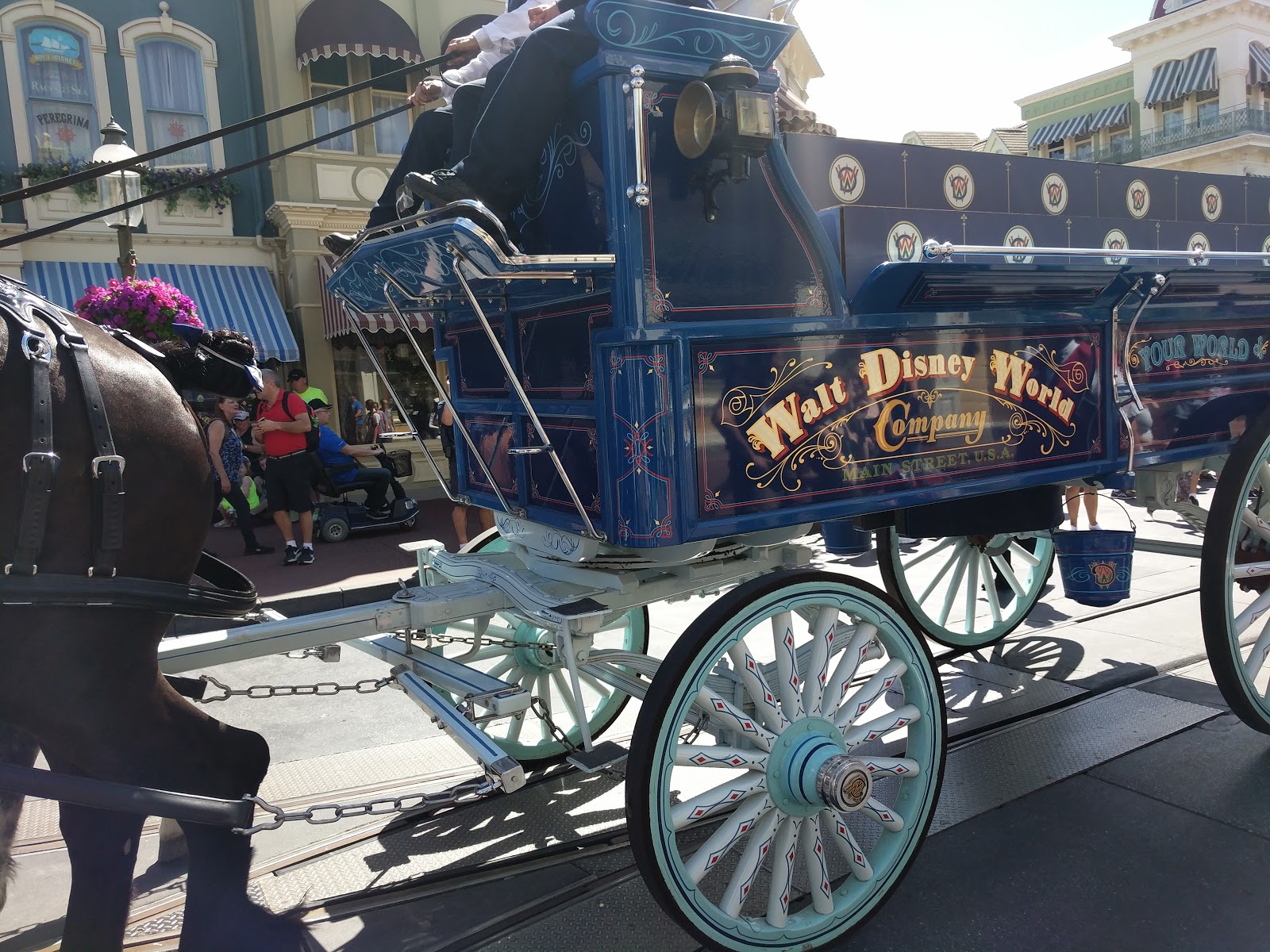 Horse-Drawn Blue Carriage On Main Street USA