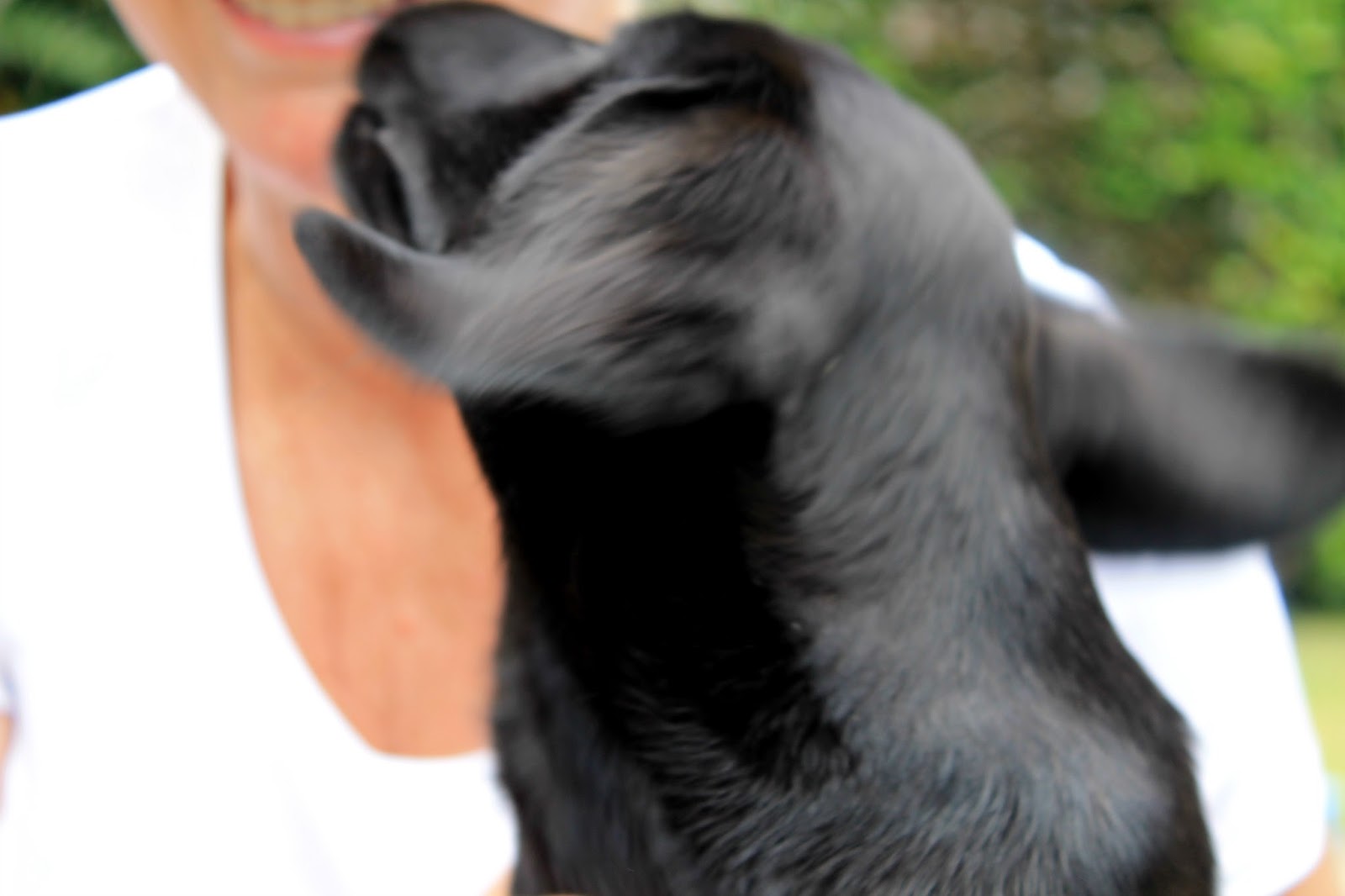 Polaroids & Puds: New Flupsy