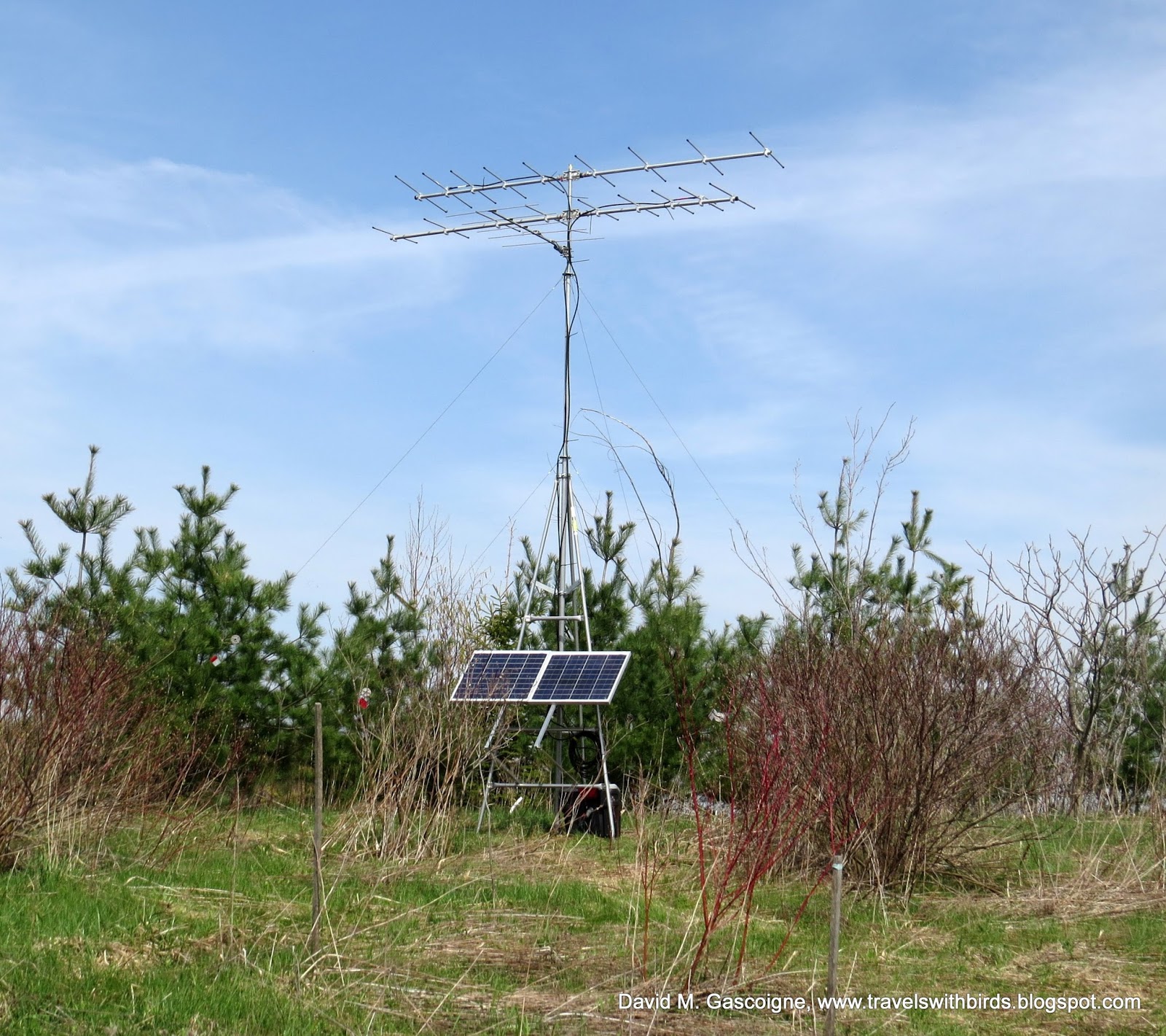 Installation of a MOTUS Tower at SpruceHaven - Travels With Birds
