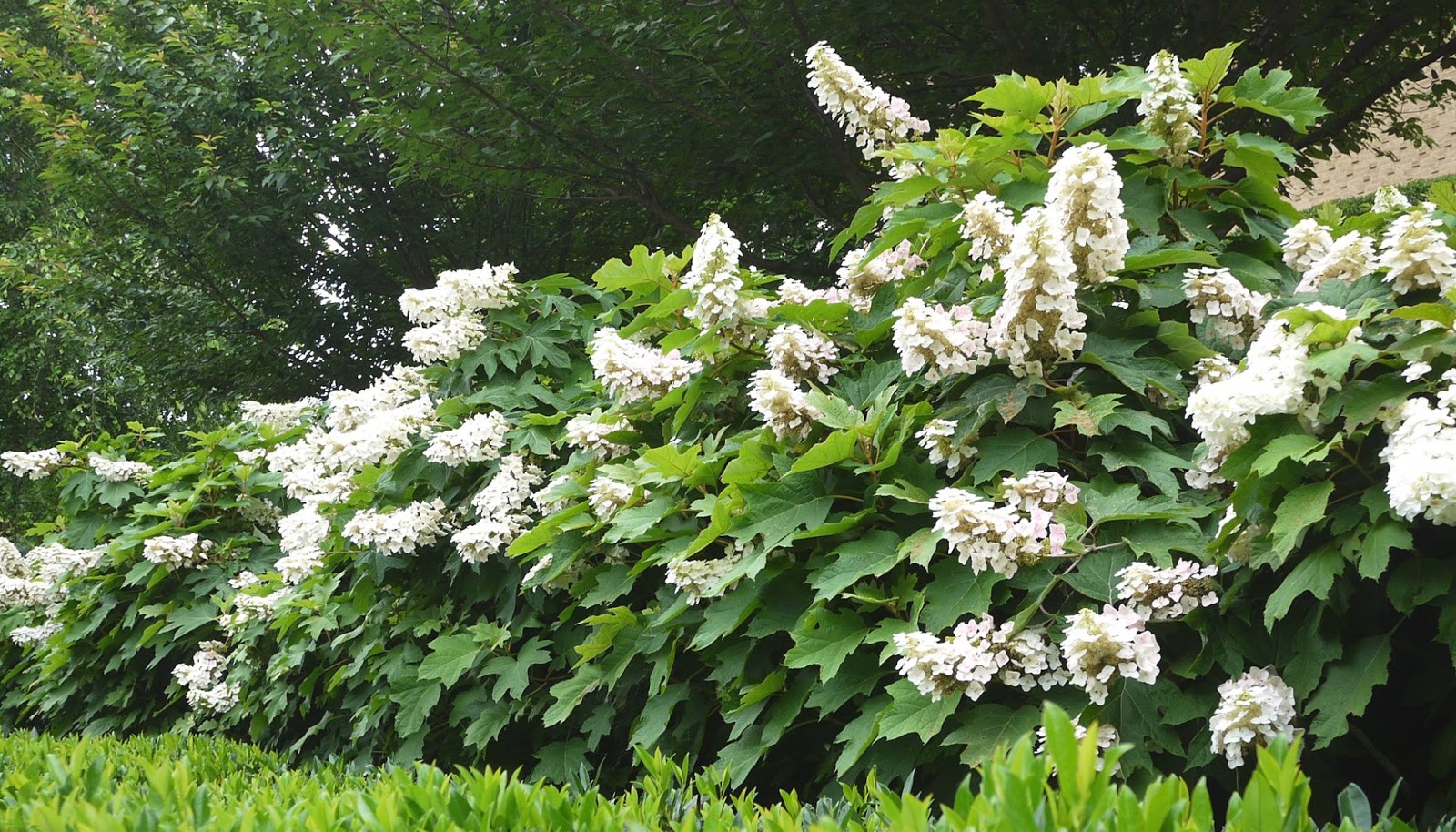 Best Things in Beauty: The Friday Forum - June 21