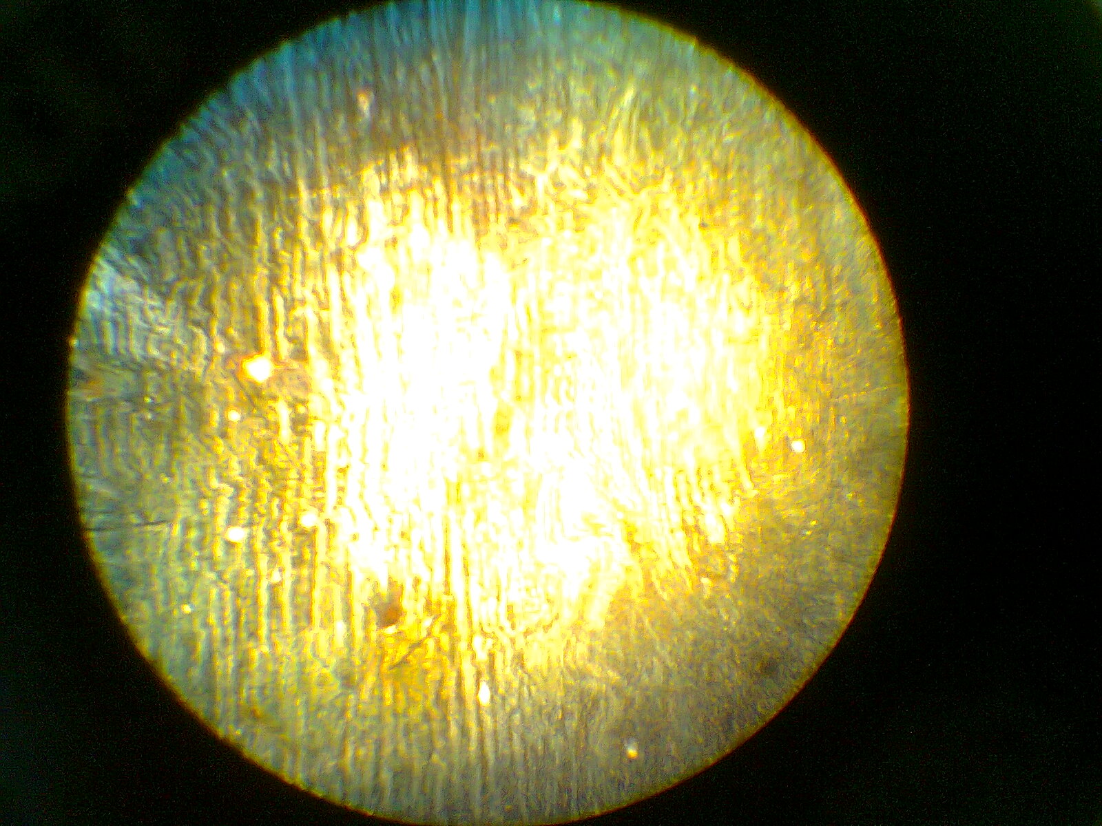 Practicas de laboratorio de ciencia y tecnología de materiales ...
