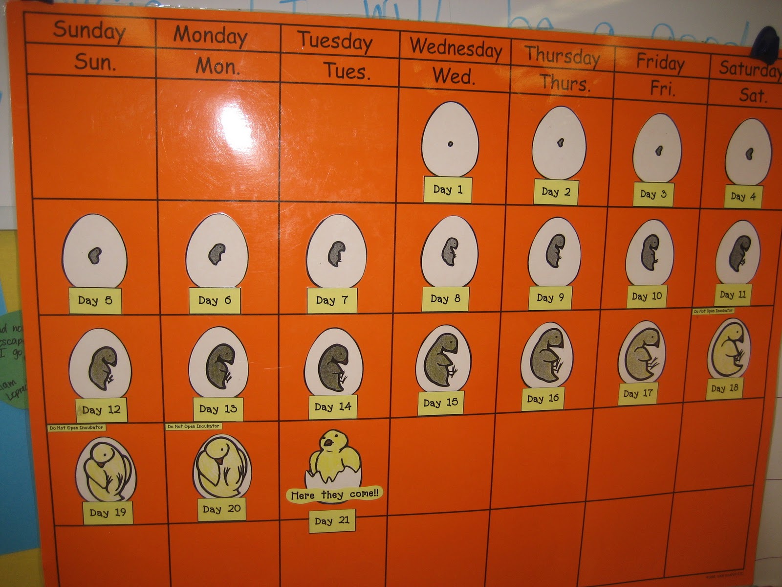 Kindergarten Hoppenings: Peep! Peep!