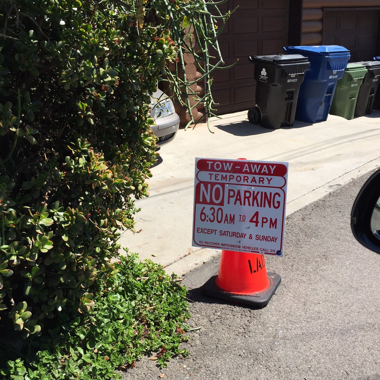 Temporary No Parking Signs