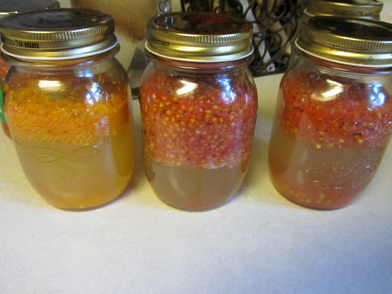 The Rusted Vegetable Garden